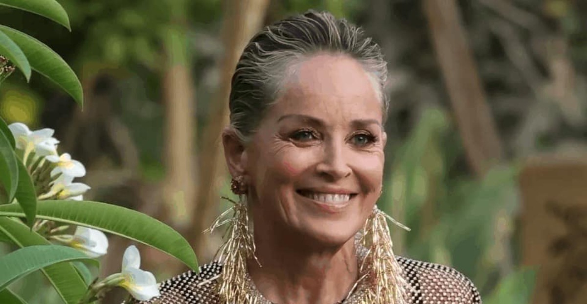 "La mujer que no sabe cómo envejecer": ¡Sharon Stone, de 66 años, causó ...
